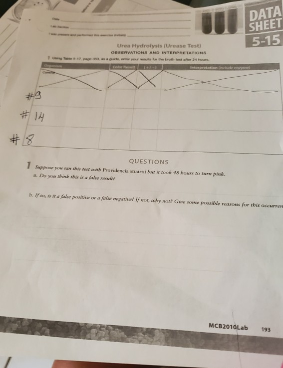 DATA SHEET 5-15 Urea Hydrolysis (Urease Test) | Chegg.com