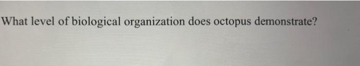 Solved 10. (30pt) If octopus was to go extinct, how would | Chegg.com