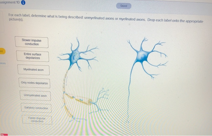 Solved ssignment 10 Saved For each label, determine what is | Chegg.com