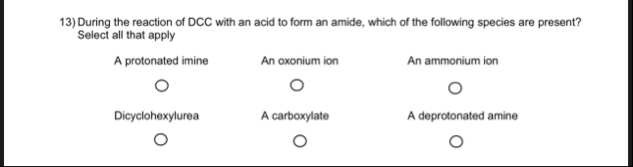 Solved During the reaction of DCC with an acid to form an | Chegg.com