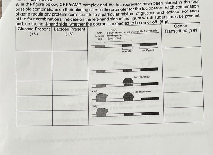 Solved Can you fill out the following chart for me? | Chegg.com