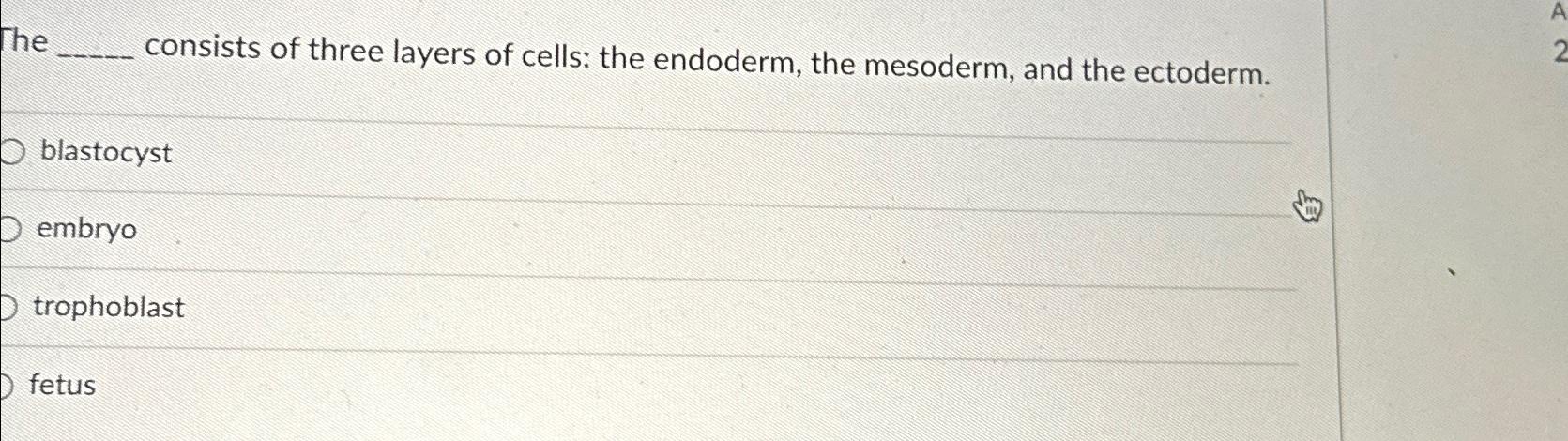 Solved The consists of three layers of cells: the endoderm, | Chegg.com