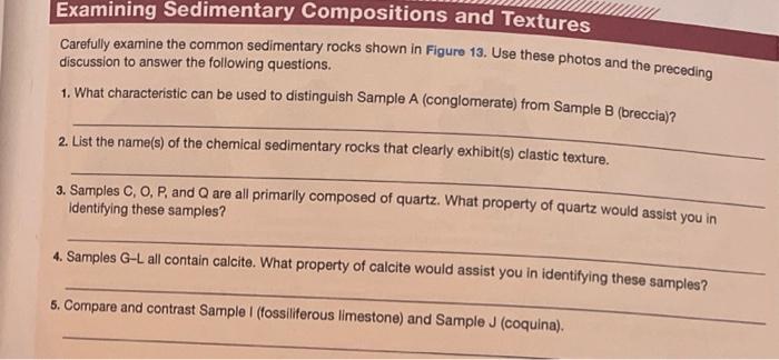 Solved Examining Sedimentary Compositions and Textures | Chegg.com