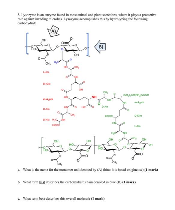 3. Lysozyme is an enzyme found in most animal and | Chegg.com