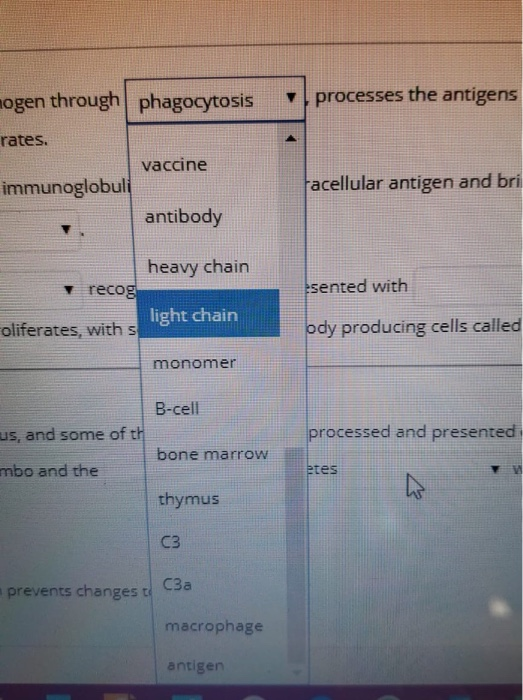 Solved A macrophage engulfs a pathogen through phagocytosis | Chegg.com