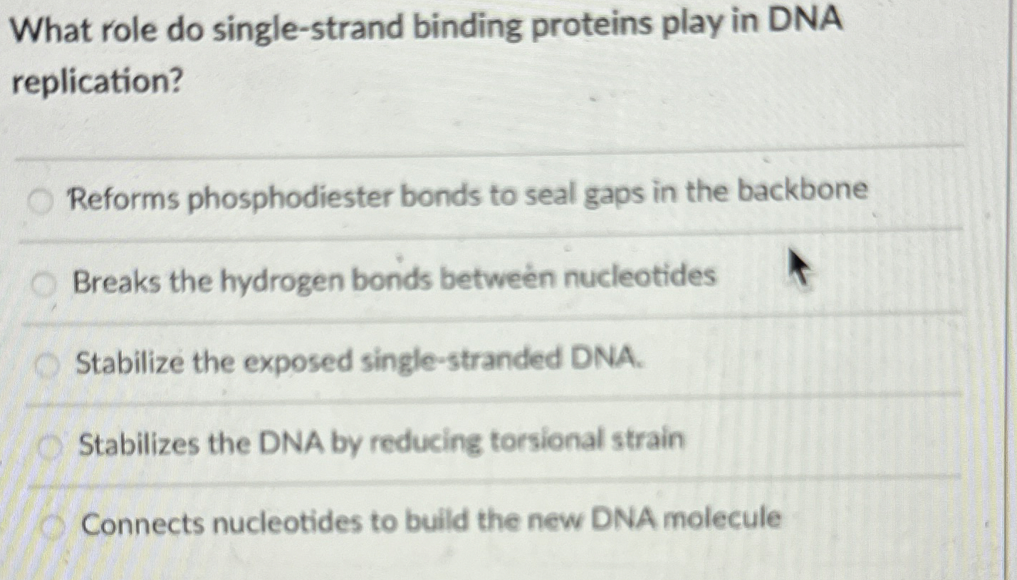 Solved What role do single-strand binding proteins play in | Chegg.com