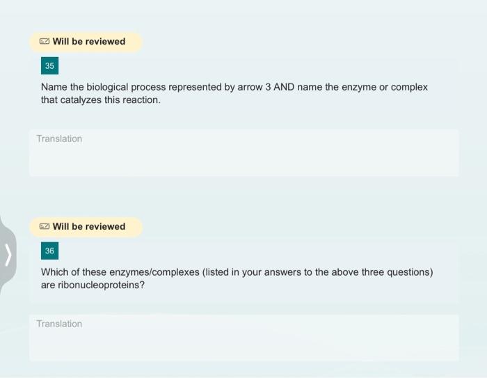 Solved The following four questions refer to the arrows in | Chegg.com