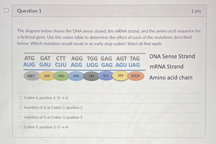 Solved The diagram below shows the DNA sense strand, the | Chegg.com