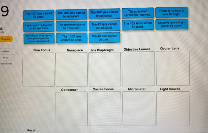 Solved drag the consequences of loss of function of each | Chegg.com