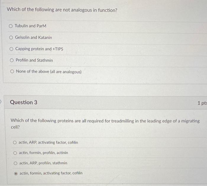 Solved Which of the following are not analogous in function? | Chegg.com