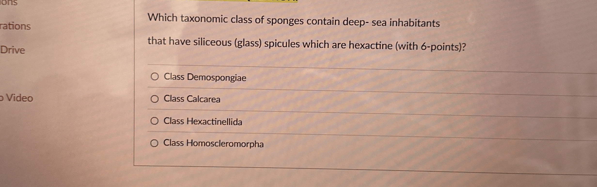 Solved Which taxonomic class of sponges contain deep- ﻿sea | Chegg.com