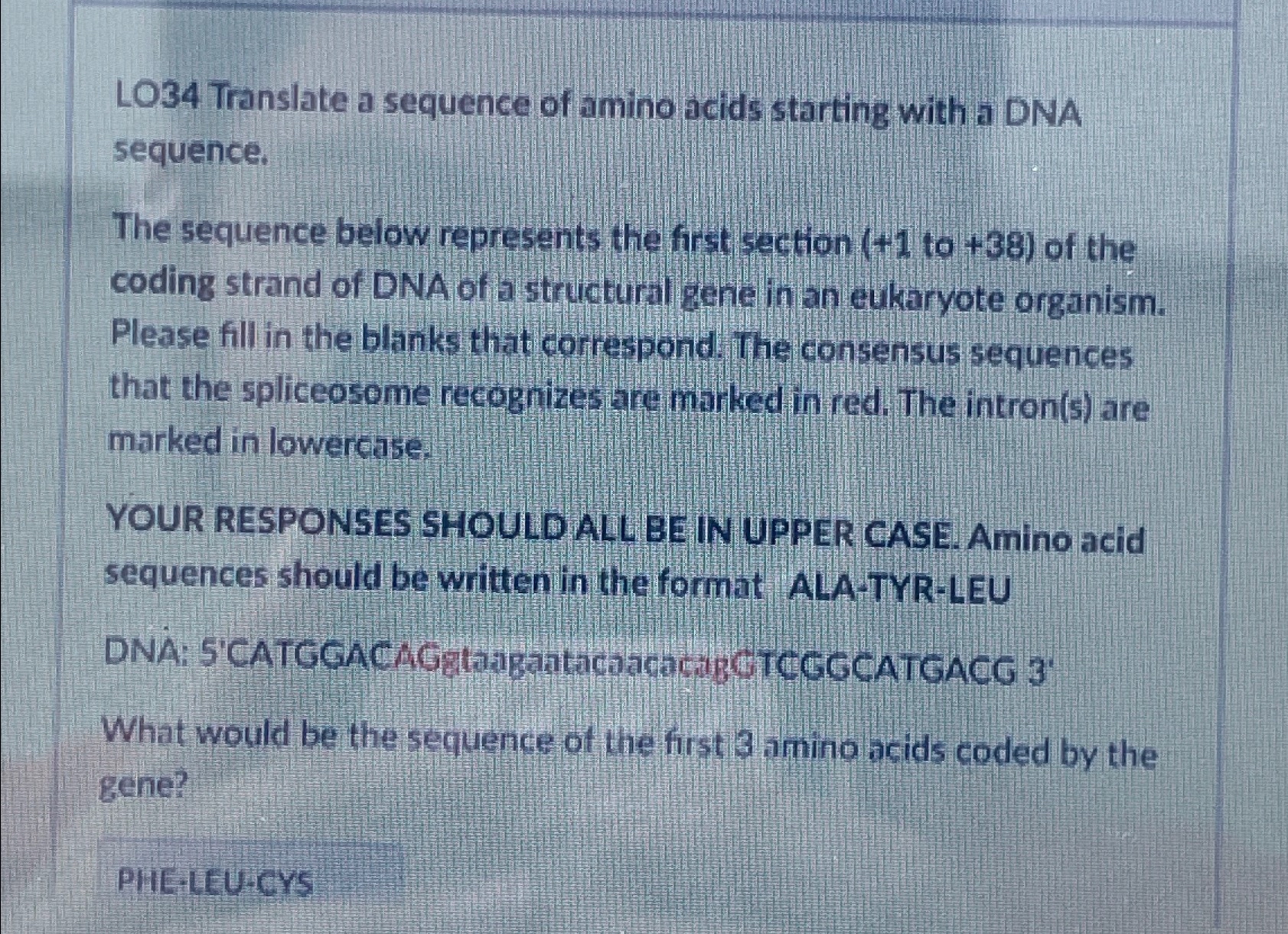 Solved LO34 ﻿Translate a sequence of amino acids starting | Chegg.com
