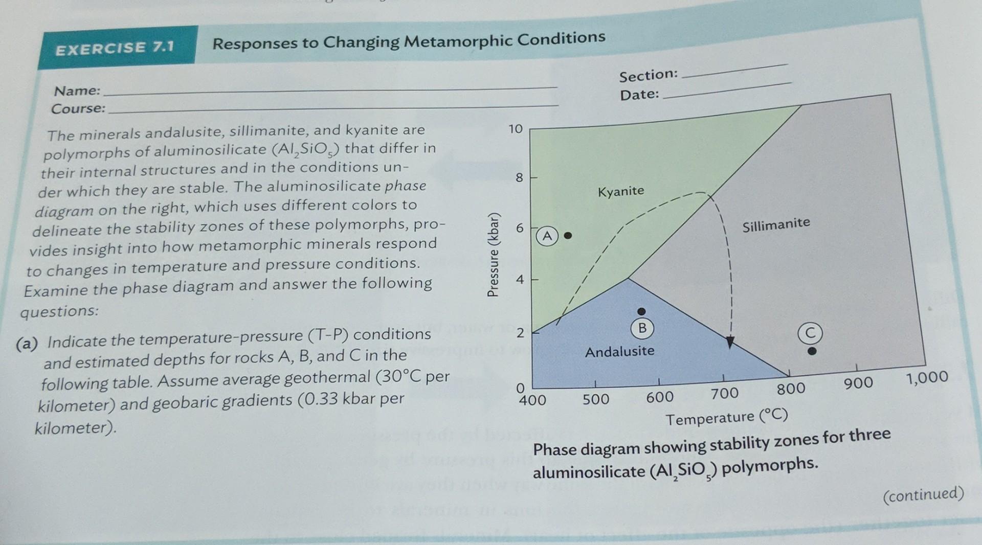 Solved EXERCISE 7.1 Responses to Changing Metamorphic | Chegg.com