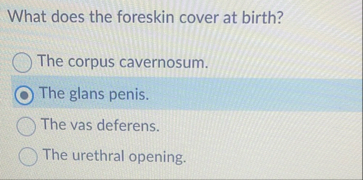 What does the foreskin cover at birth?The corpus | Chegg.com