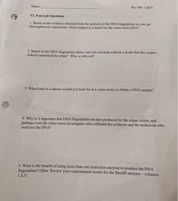 Name: Bio 100 - Lab 9 VI. Post-Lab Questions 1. Based | Chegg.com