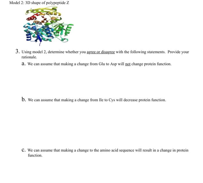 Solved Model 2: 3D shape of polypeptide Z 3. Using model 2, | Chegg.com