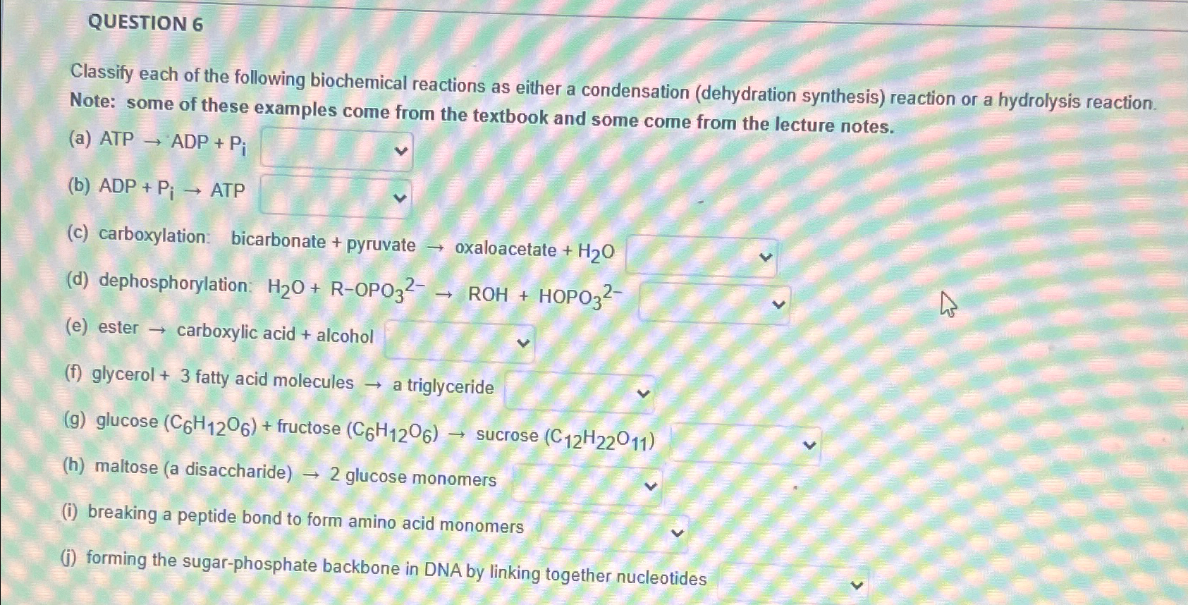Solved QUESTION 6Classify each of the following biochemical | Chegg.com