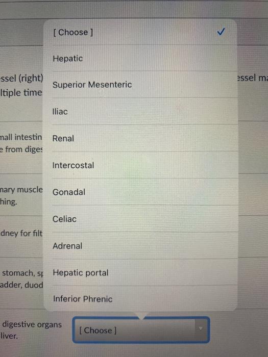 Solved Match the blood vessel (right) to the correct | Chegg.com