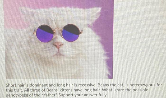 Solved Mendel examined the inheritance of pea pod colour. He | Chegg.com