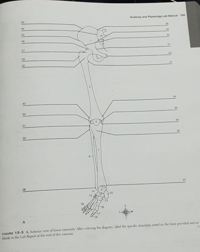 Solved Anatomy and Physiology Lab Manu 150 NO 30 30 40 20 21 | Chegg.com