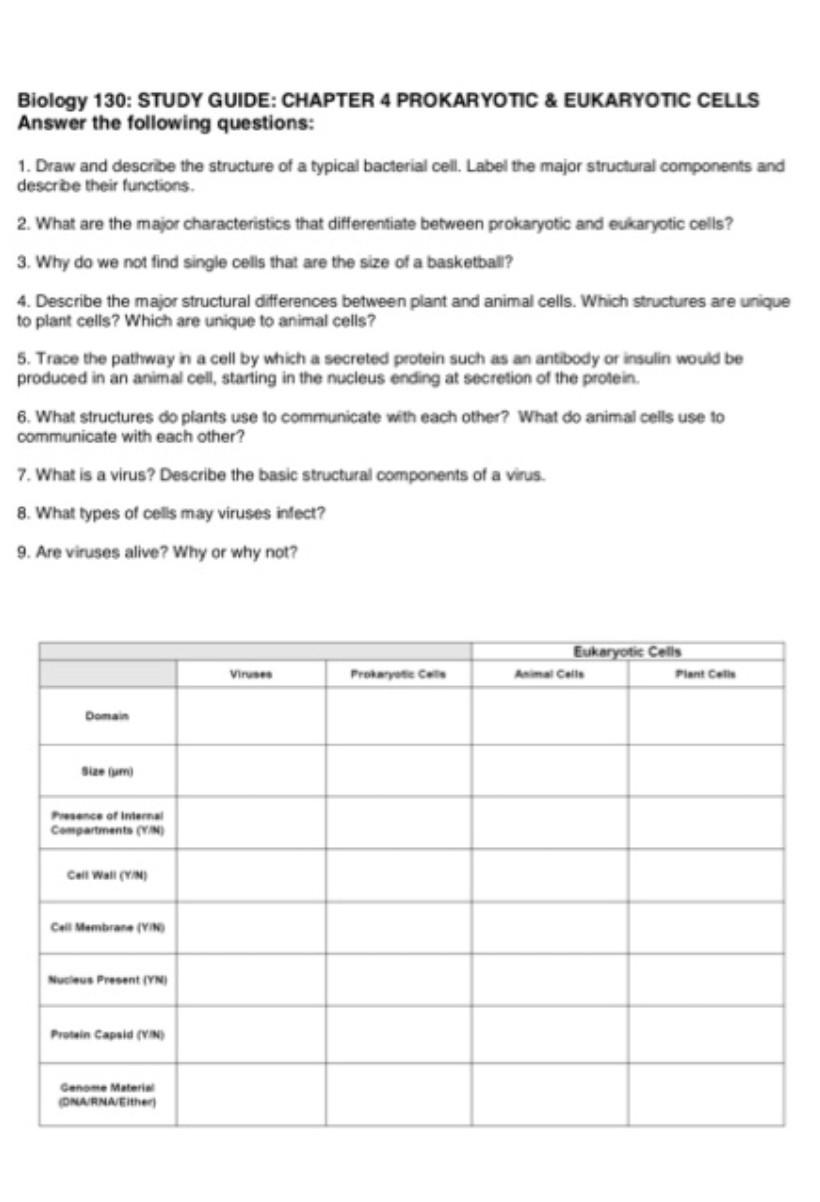 BIologY 130: STUDY GUIDE: CHAPTER 4 PROKARYOTIC \& | Chegg.com