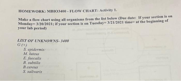 Solved HOMEWORK: MBIO3400 - FLOW CHART: Activity 1. Make a | Chegg.com