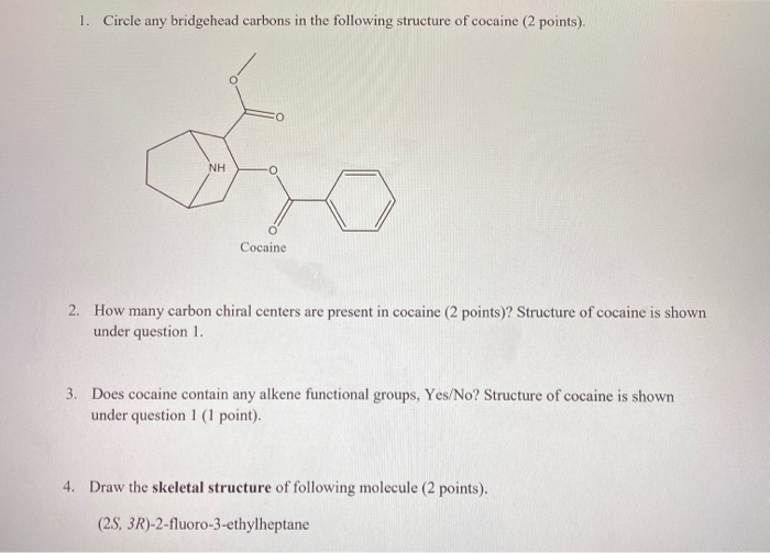 Solved 1. Circle any bridgehead carbons in the following | Chegg.com