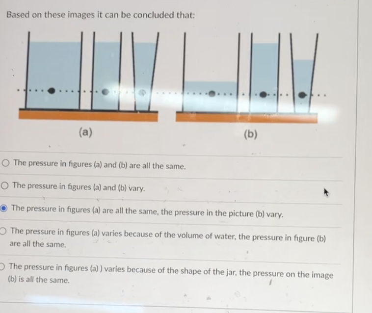 Solved Based on these images it can be concluded that:(a) | Chegg.com
