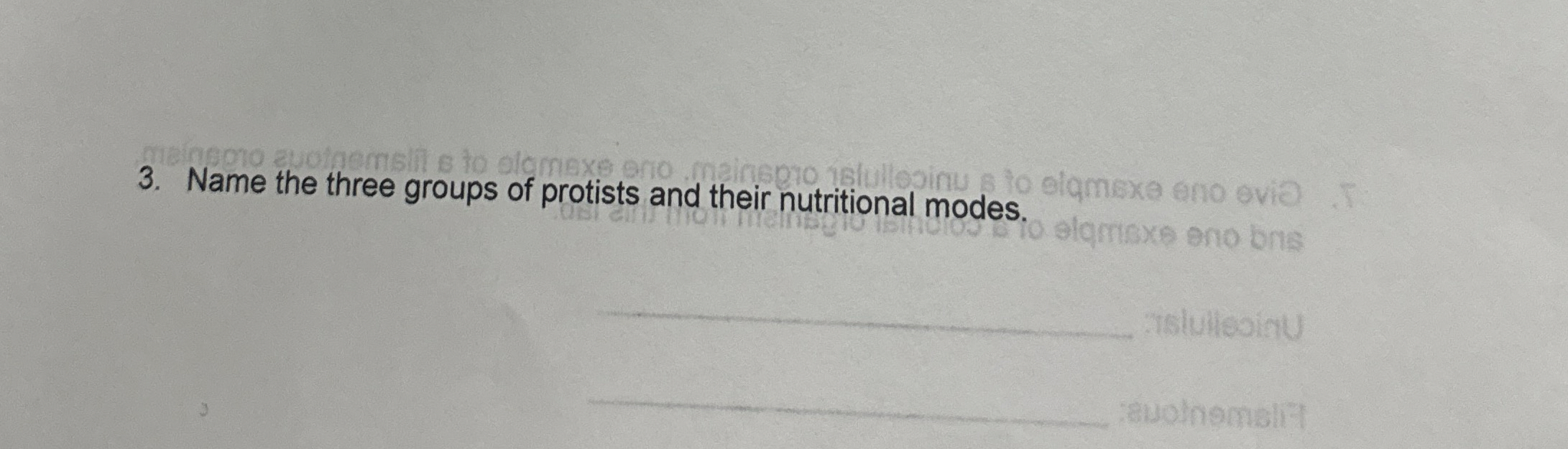 Solved Name the three groups of protists and their | Chegg.com | Chegg.com