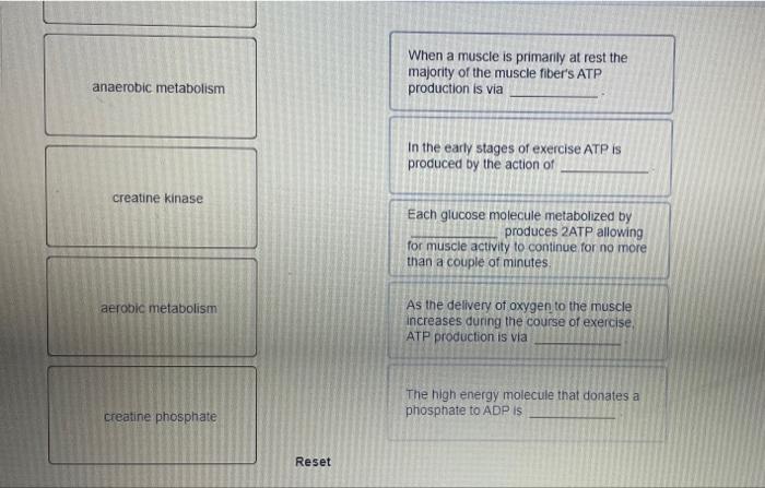 Solved Complete each sentence with the correct word. ATP | Chegg.com