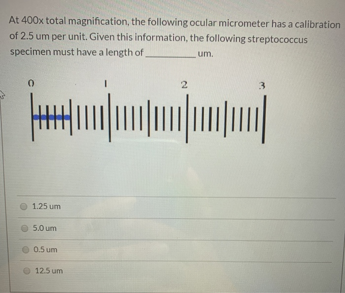 Solved At 400x Total Magnification The Following Ocular Chegg