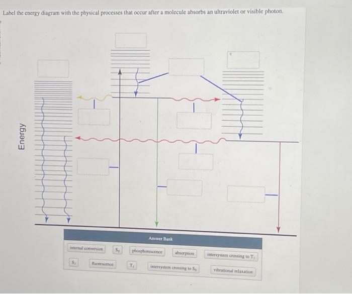 Solved Label the energy diagram with the physical processes | Chegg.com