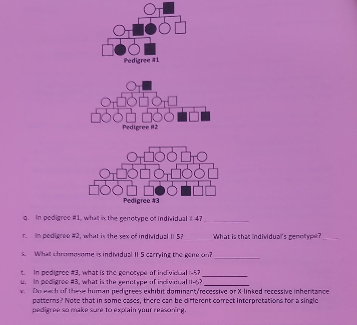 Solved Q. In pedigree #1, what is the genotype of individual | Chegg.com