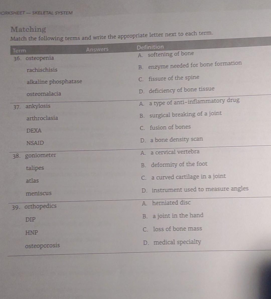 Solved ORKSHEET - SKELETAL SYSTEM Matching Match the | Chegg.com