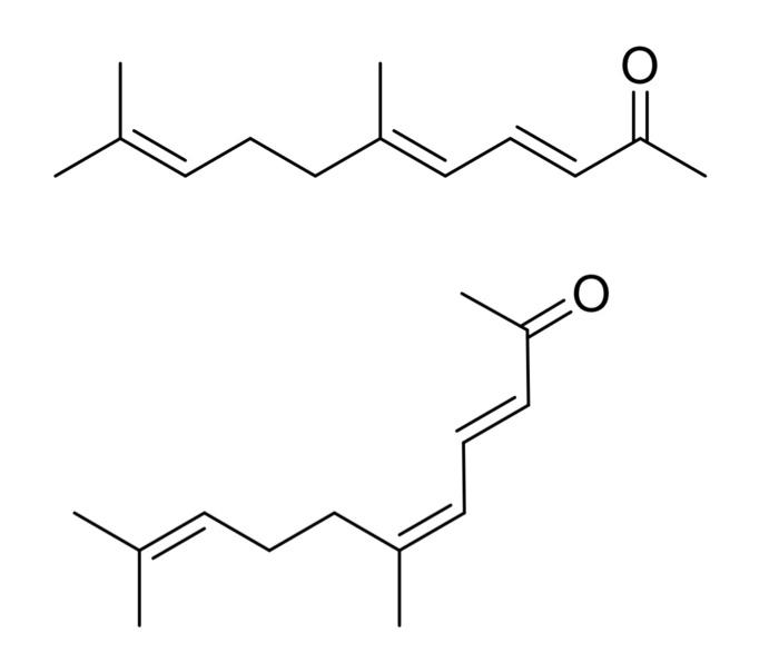 Solved what are the functional groups and bond type for the | Chegg.com Solved what are the functional groups and bond type for the | Chegg.com