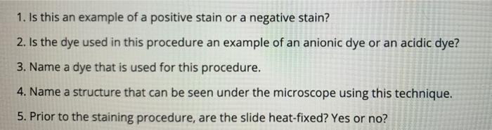 Solved 1. Is this an example of a positive stain or a | Chegg.com
