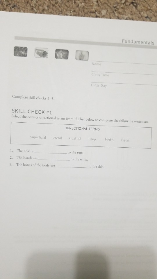 Solved Fundamentals Name Class Time Class Day Complete skill | Chegg.com