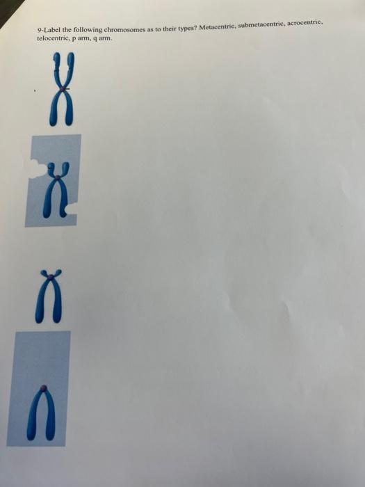 Solved 9- Label the following chromosomes as to their types? | Chegg.com