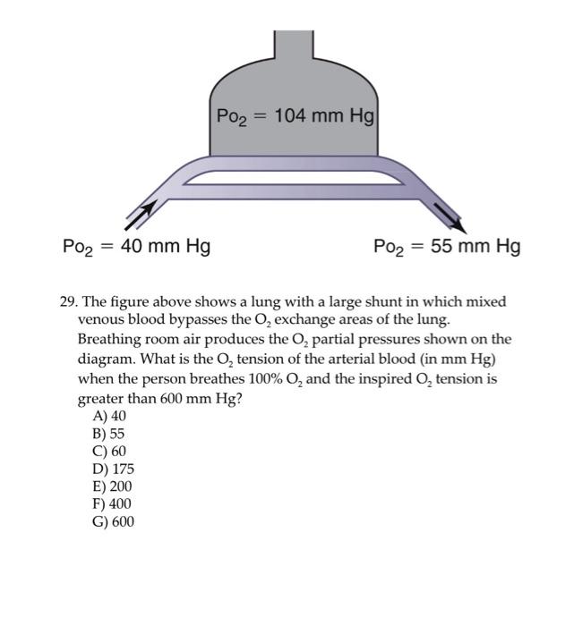 [Solved]: 29. The figure above shows a lung with a large sh