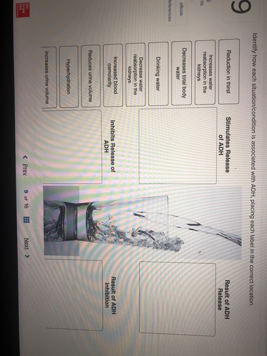 Solved Identify how each situation/condition is associated | Chegg.com