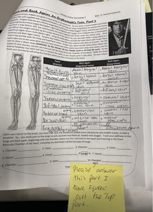 Solved Written Online Worksheet 4 BIOL 71: Human Anatomy | Chegg.com