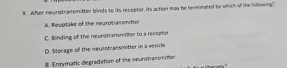 Solved After neurotransmitter binds to its receptor, its | Chegg.com