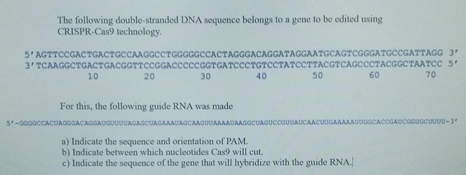 Solved The following double-stranded DNA sequence belongs to | Chegg.com