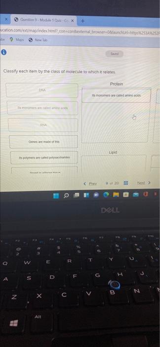 Solved classifiy each item by the class of molecule to which | Chegg.com