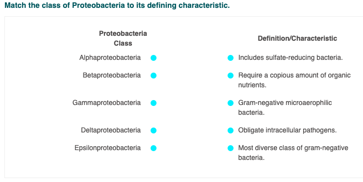 Solved Match the class of Proteobacteria to its defining | Chegg.com