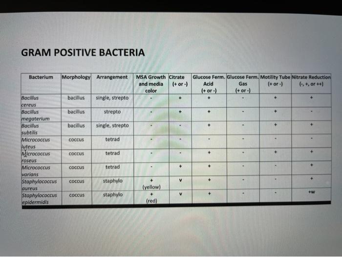 Solved You perform several tests on an unidentified | Chegg.com