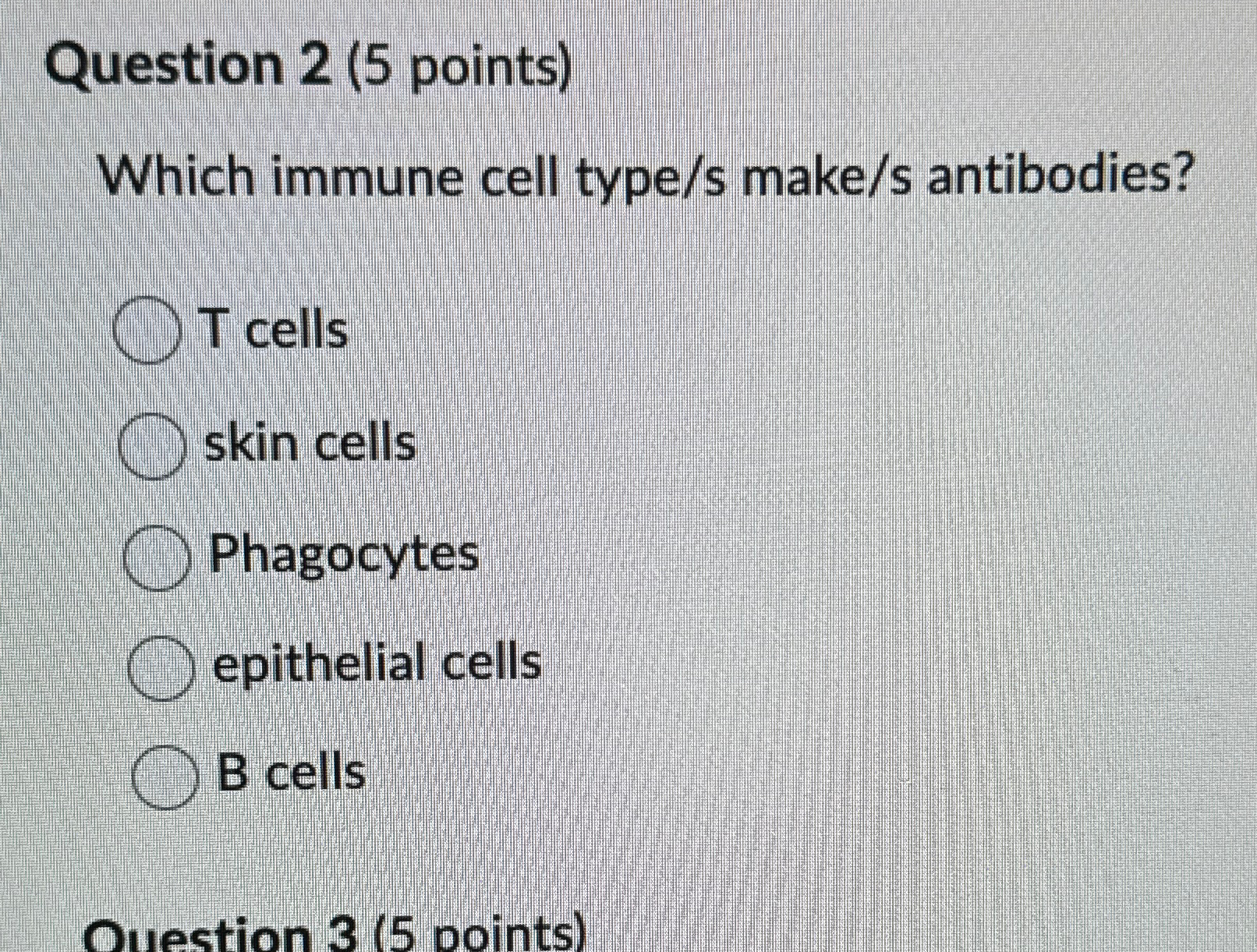 Solved Question 2 (5 ﻿points)Which immune cell type/s make/s | Chegg.com