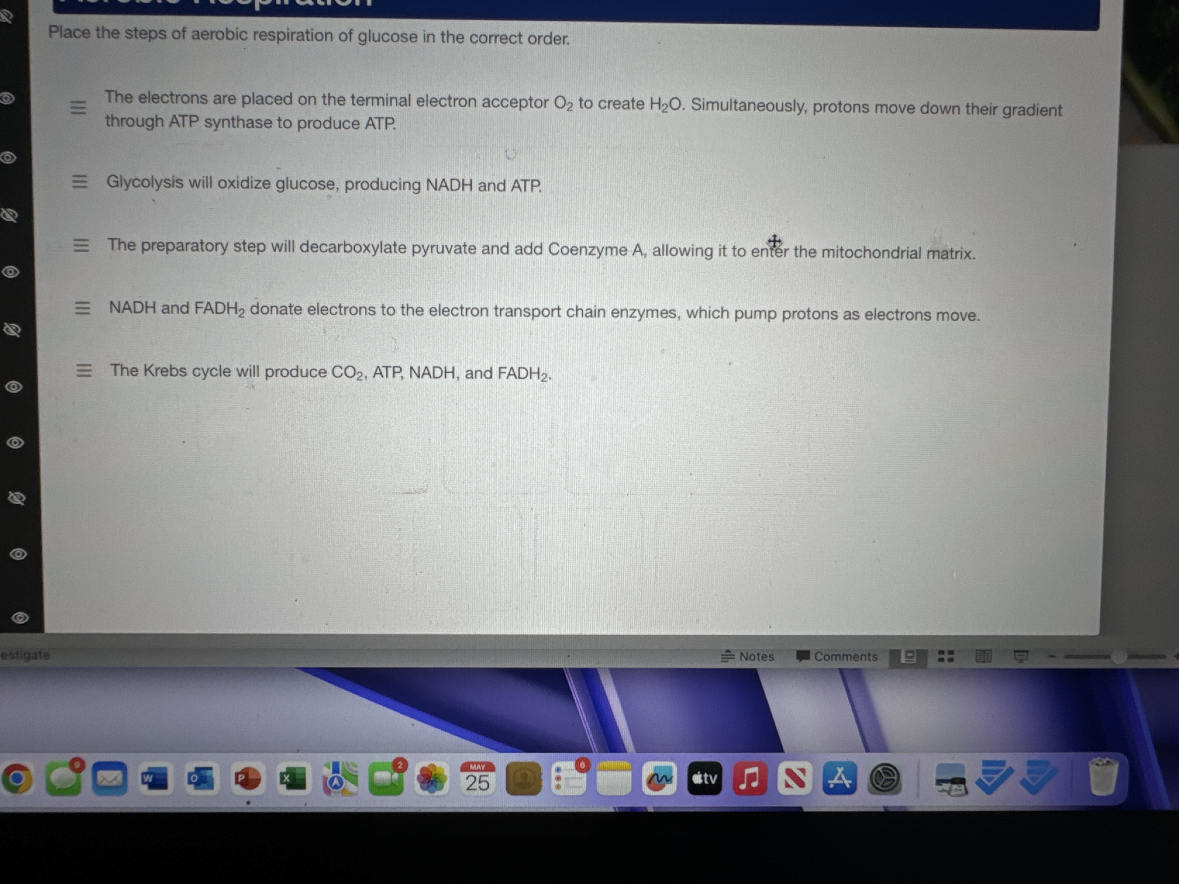 Solved Place the steps of aerobic respiration of glucose in | Chegg.com