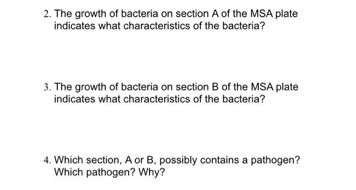 Solved 2. The growth of bacteria on section A of the MSA | Chegg.com
