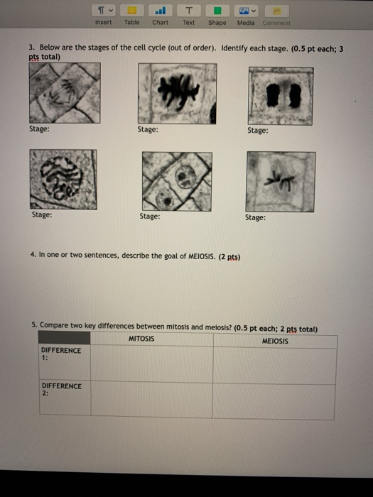 Solved T Insert Table Chart Text Shape Media Comment | Chegg.com